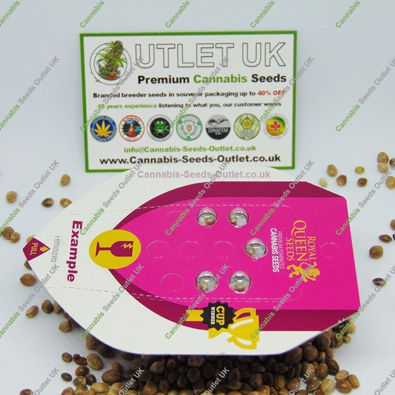 Royal AK Auto Feminized Weed Strain Royal Queen Seeds