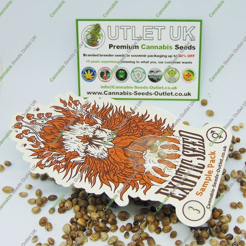 Triple A Automatic Feminized Weed Strain Exotic Seeds