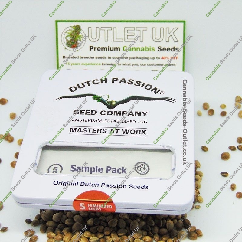 Power Plant Quality Marijuana Strain by Dutch Passion