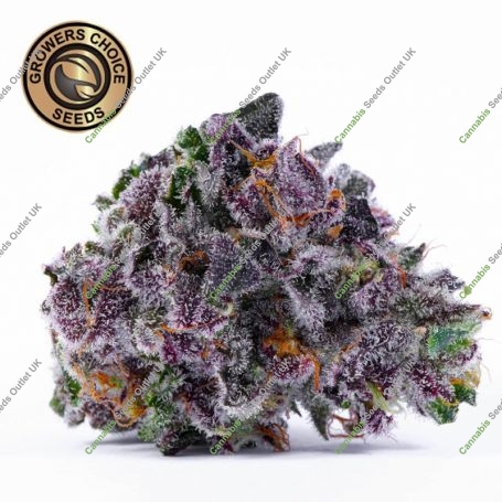 Cherry Zoap Auto Feminized Weed Strain Growers Choice